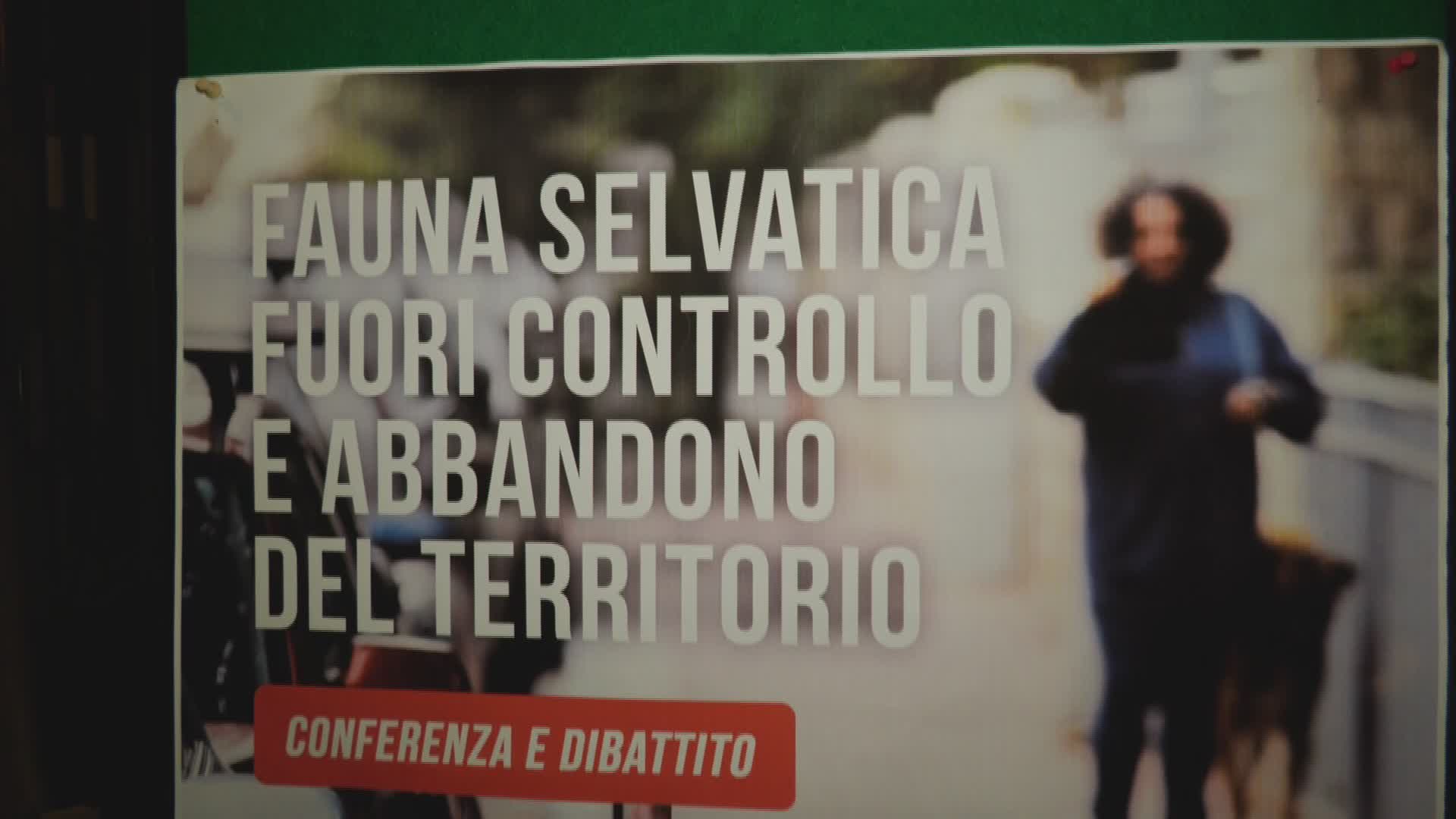 Fauna selvatica nei centri urbani: convegno a Chiavari | TeleRadioPace TV