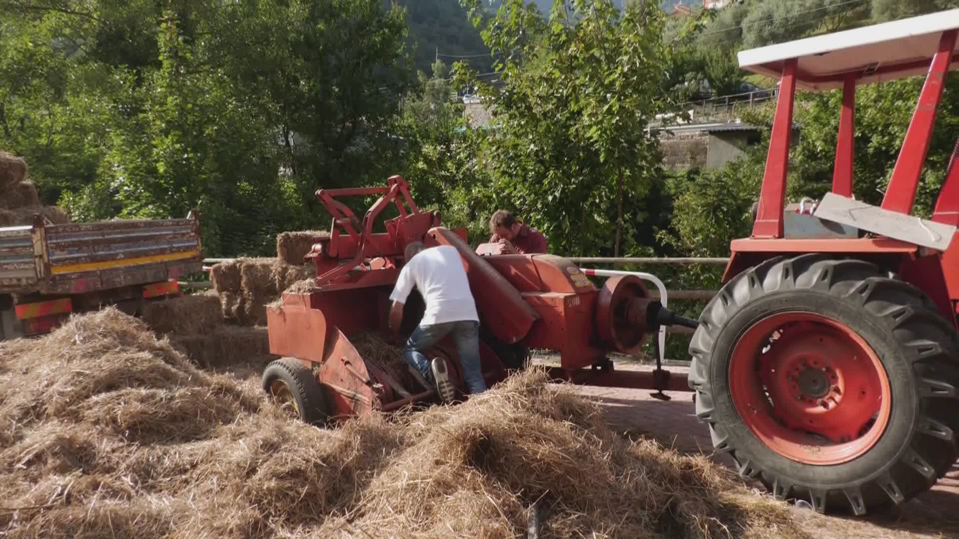 Domenica torna la Festa degli Antichi Mestieri a Favale di Malvaro ...