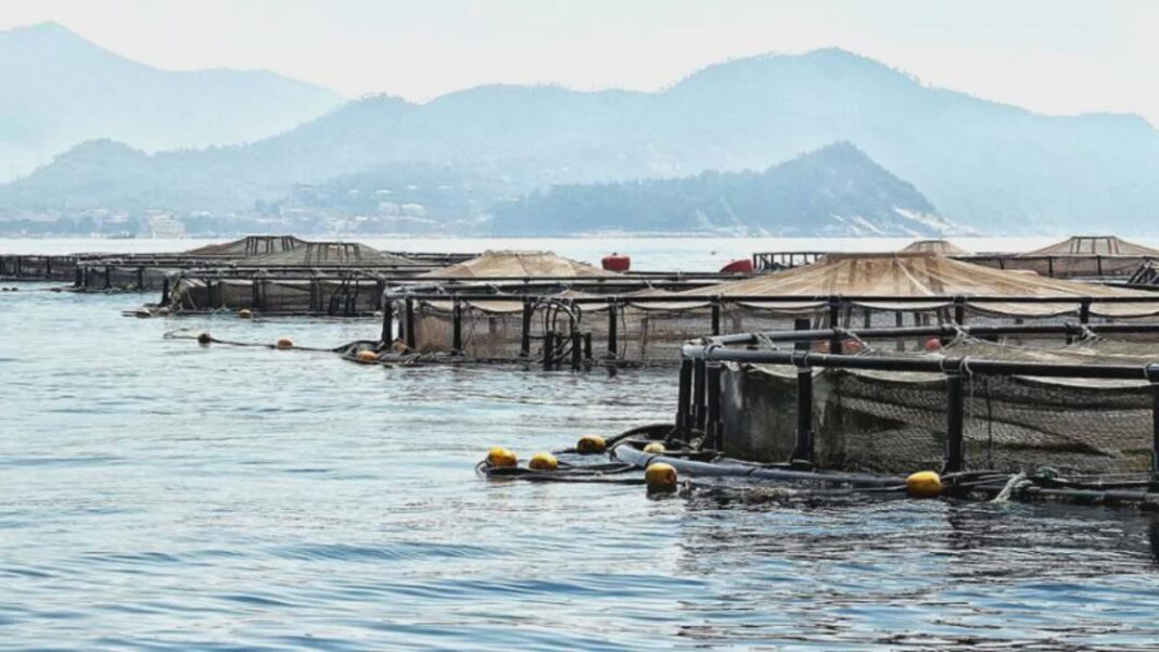 Lavagna, il TAR accoglie il ricorso di Aqua e annulla il provvedimento ...